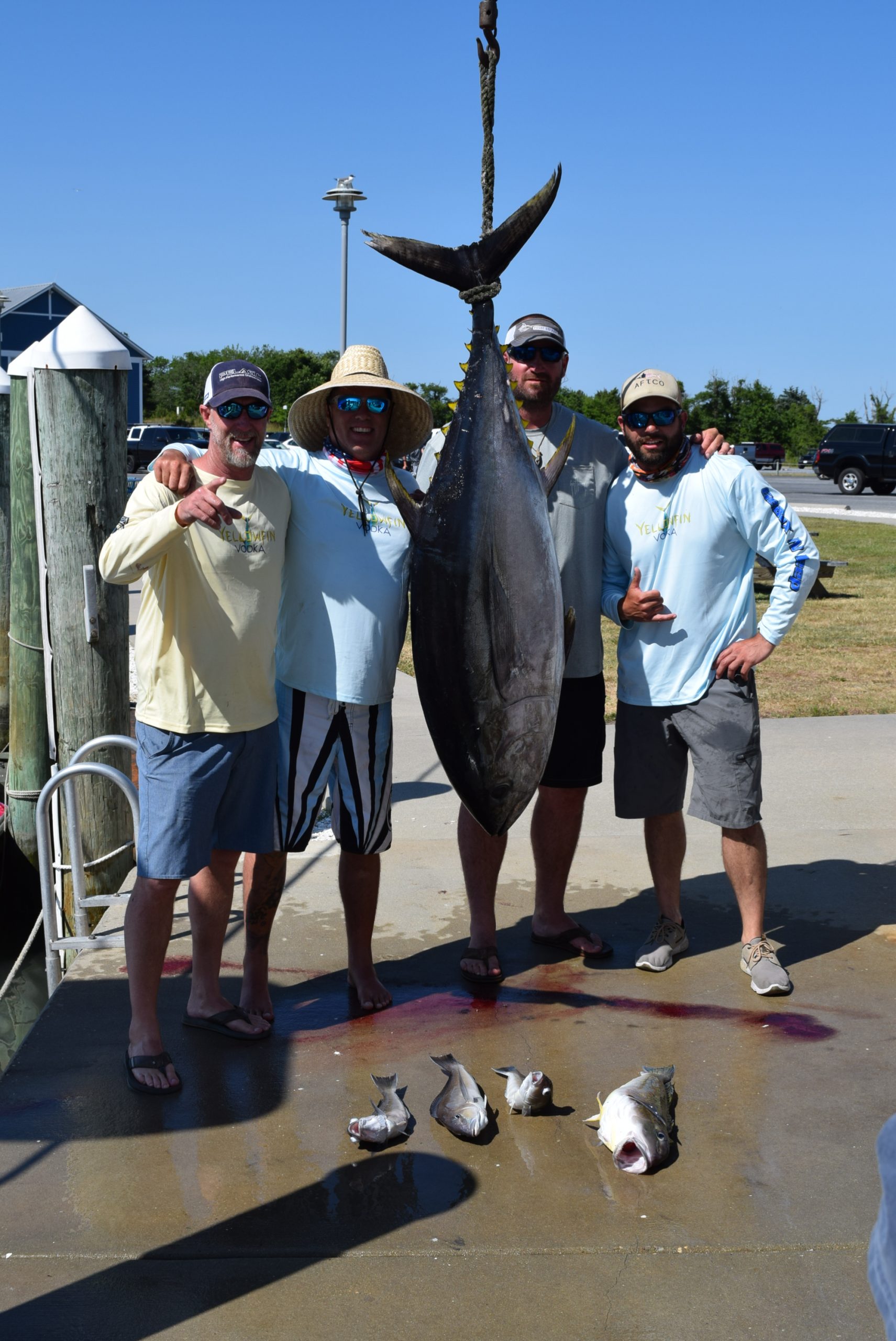 Indian River Marina - State of Delaware - Page 3 of 34 - Fishing ...