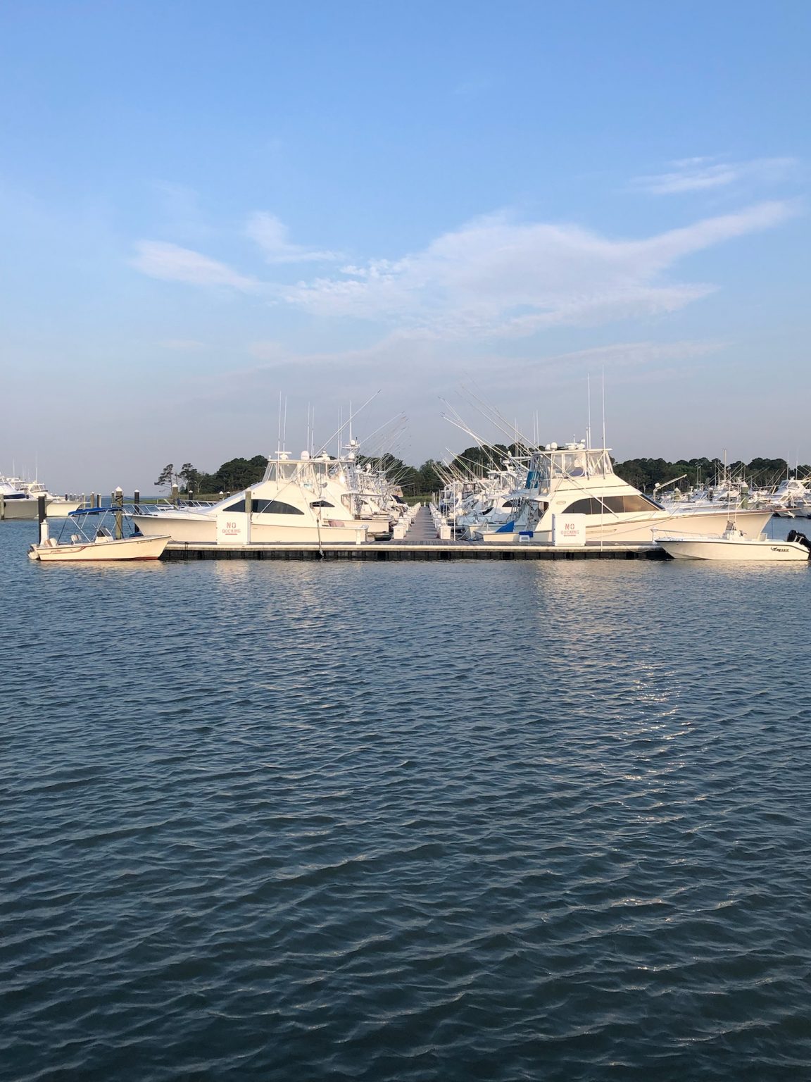 Indian River Marina - State of Delaware - Fishing Reports and Marina News